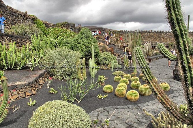 Las Palmas, Botanical Garden & Bandama Crater tour - Gran Canaria - Visit the Jardin Botanico Viera y Clavijo
