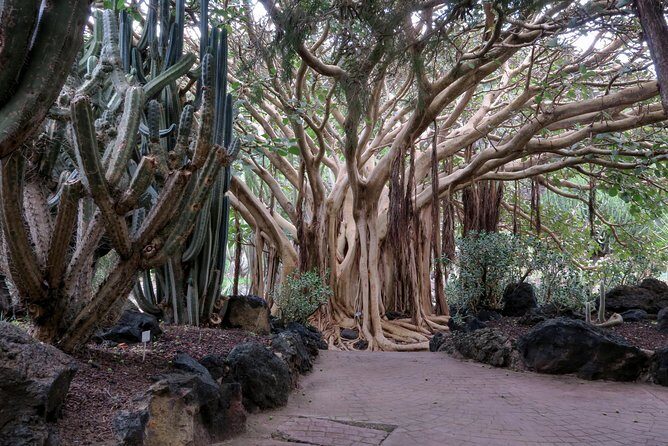 Las Palmas, Botanical Garden & Bandama Crater tour - Gran Canaria - Relax at Playa de Las Canteras and Las Arenas Shopping Center