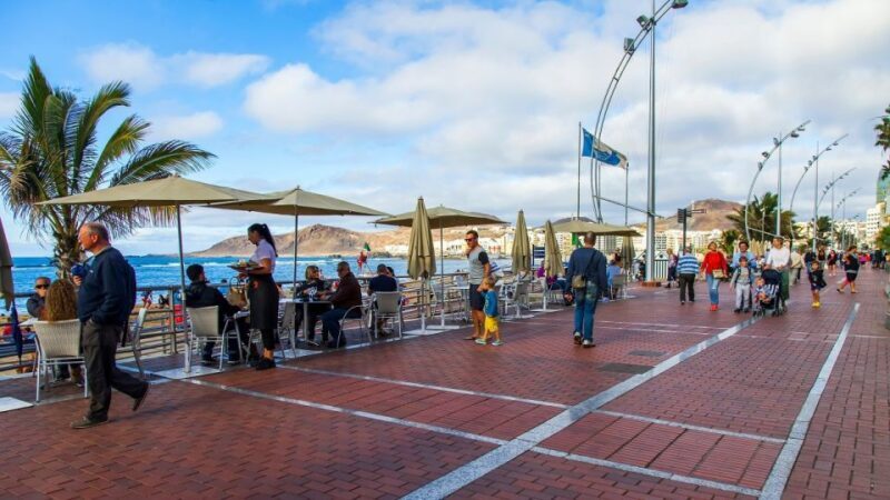 Las Palmas, Botanical Gardens and Bandama Volcano Tour - An Honest Look at the Tour Experience
