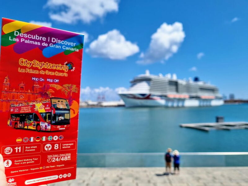 Las Palmas: City Sightseeing Hop-On Hop-Off Bus Tour - What to Expect During the Tour