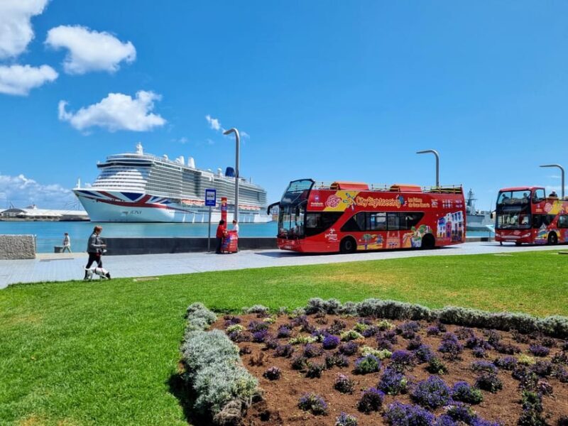 Las Palmas: City Sightseeing Hop-On Hop-Off Bus Tour - The Pros and Cons of the Tour