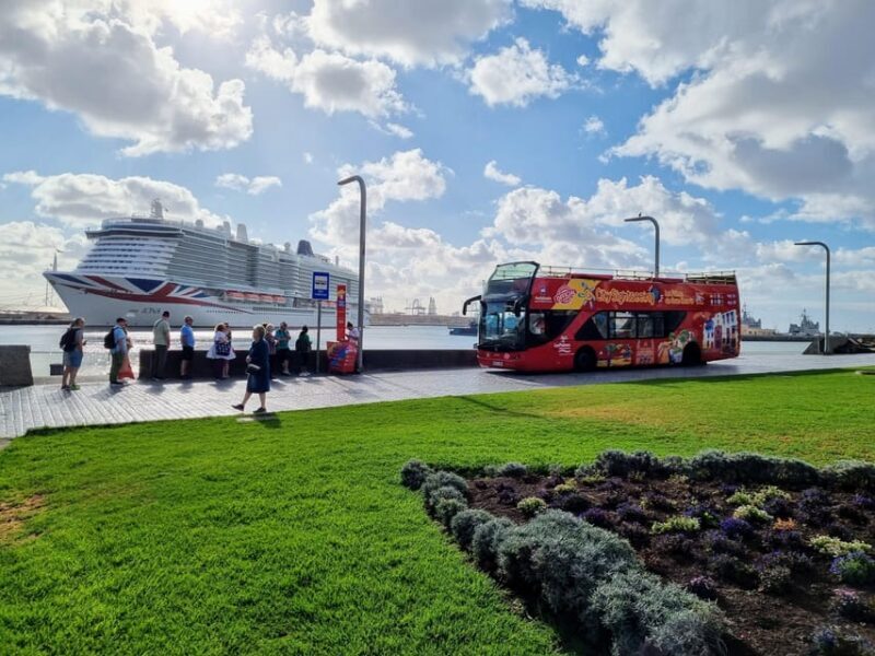 Las Palmas: City Sightseeing Hop-On Hop-Off Bus Tour - Who Will Love This Tour?