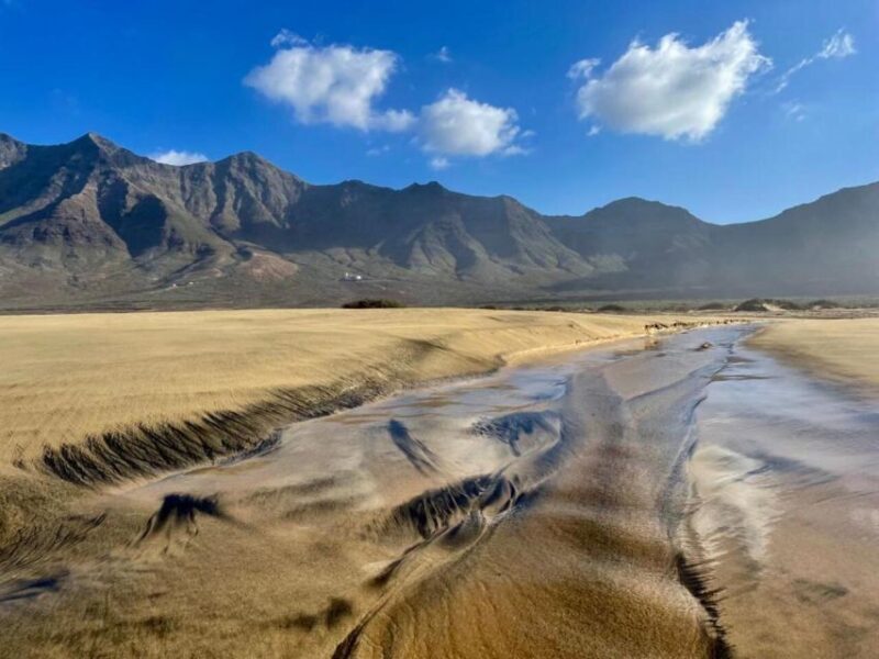 Las Palmas: Fuerteventura Cofete Beach and Desert Safari - FAQ