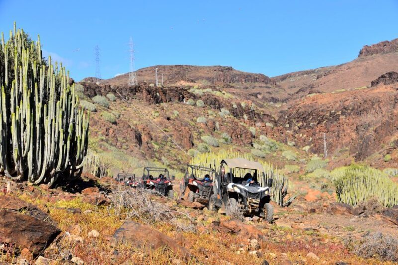 Las Palmas: Gran Canaria Guided Buggy Tour - A Thrilling Glimpse into Gran Canaria’s Rugged Terrain