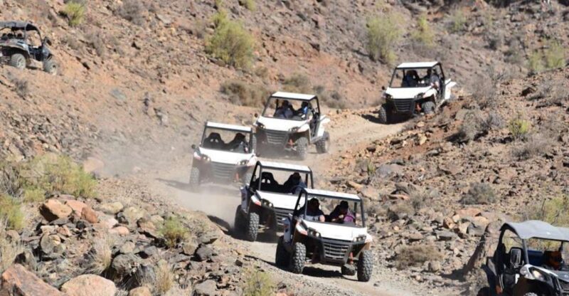 Las Palmas: Gran Canaria Guided Buggy Tour - Analyzing the Cost and Value