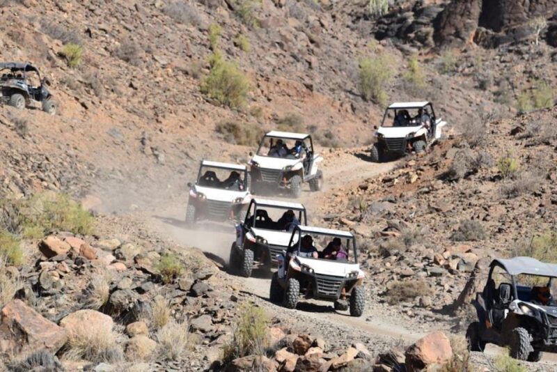 Las Palmas: Gran Canaria Guided Buggy Tour - Authentic Feedback from Travelers