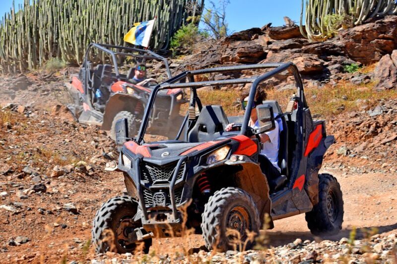 Las Palmas: Gran Canaria Guided Buggy Tour - FAQ