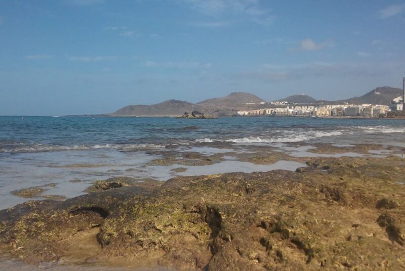 Las Palmas: Las Canteras Beach Snorkeling Trip - The Marine Ecosystem and Underwater Experience