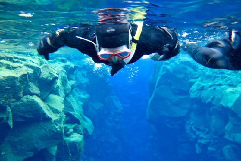 Las Palmas: Las Canteras Beach Snorkeling Trip - The Quality of Equipment and Guides