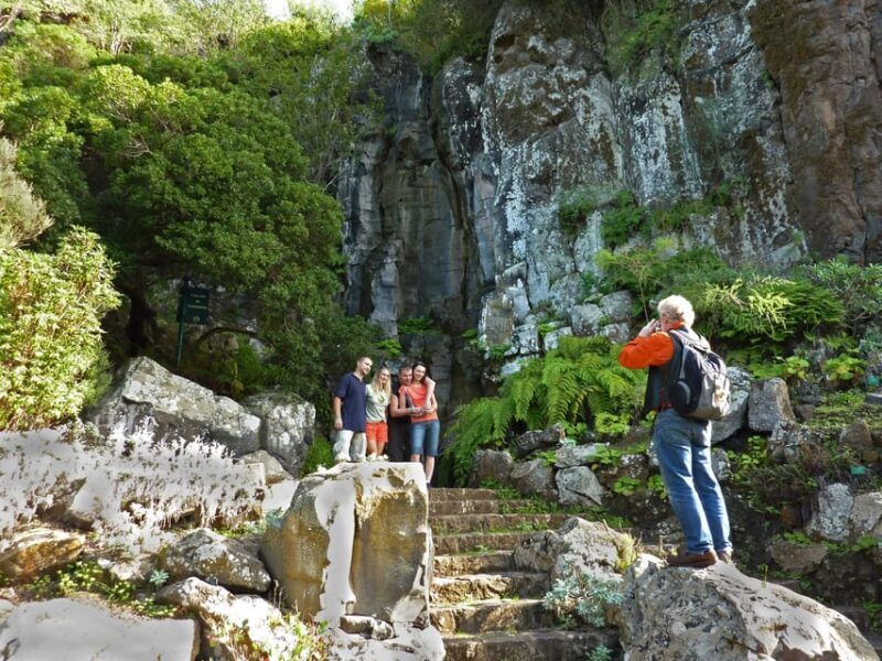 Las Palmas: Privat Botanic Garden Tour & opt. hike Extension - Key Points