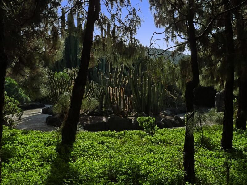 Las Palmas: Privat Botanic Garden Tour & opt. hike Extension - Who Should Consider This Tour?