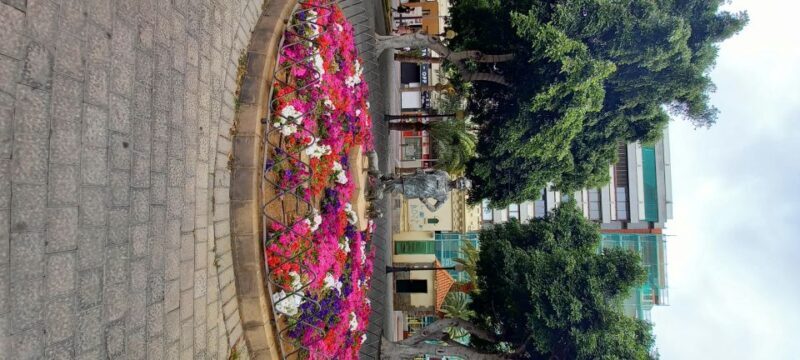 Las Palmas: Private City Highlights & Northern Villages Tour - FAQ
