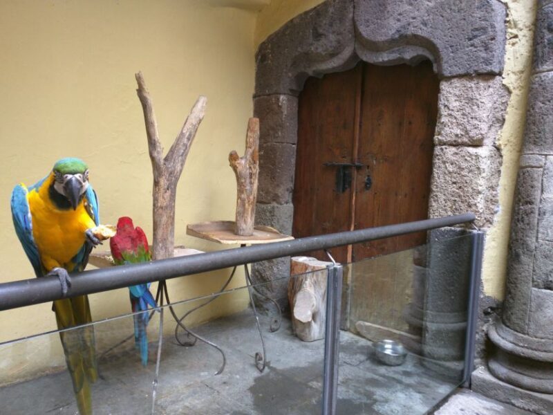Las Palmas: Private Old City Guided Walking Tour with Tapas - An In-Depth Look at the Tour Experience
