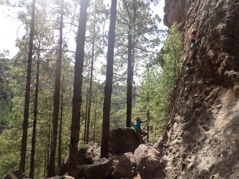 Las Palmas: Sunset Mountain Climbing Trip Near Roque Nublo - The Highlights of the Experience