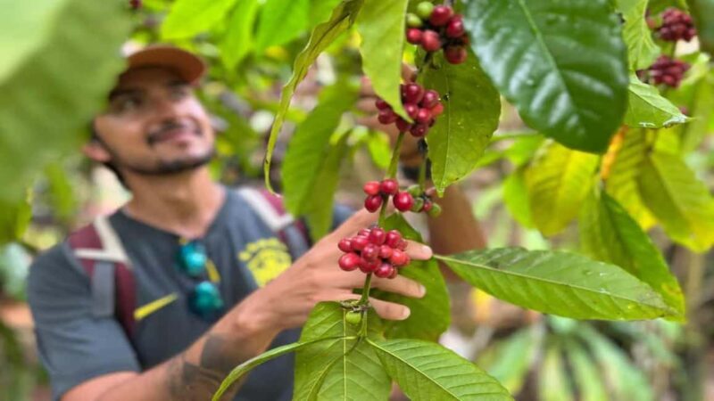 Las Terrenas: ATV Tour with Farm Visit and Beach Stop - Key Points
