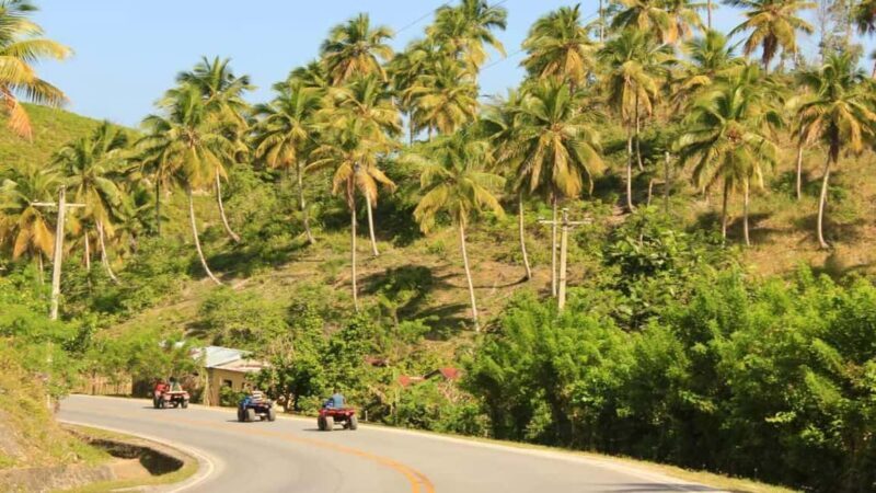 Las Terrenas: ATV Tour with Farm Visit and Beach Stop - The Value of This Experience