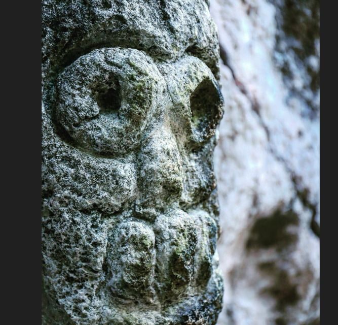 Las Terrenas: Los Haitises Boat and Walking Tour with Lunch - The Sum Up