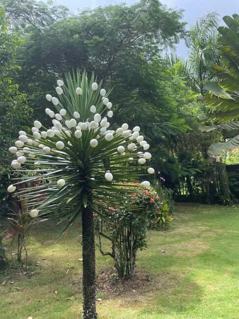 Las Terrenas: Private Coffee Trail ATV Tour in Samana - Final Thoughts: Who Will Love This Tour?