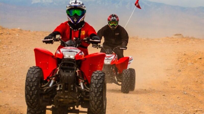 Las Vegas: Amazing Mojave Desert Nellis Dunes ATV Tour. - Who Would Enjoy This Tour?