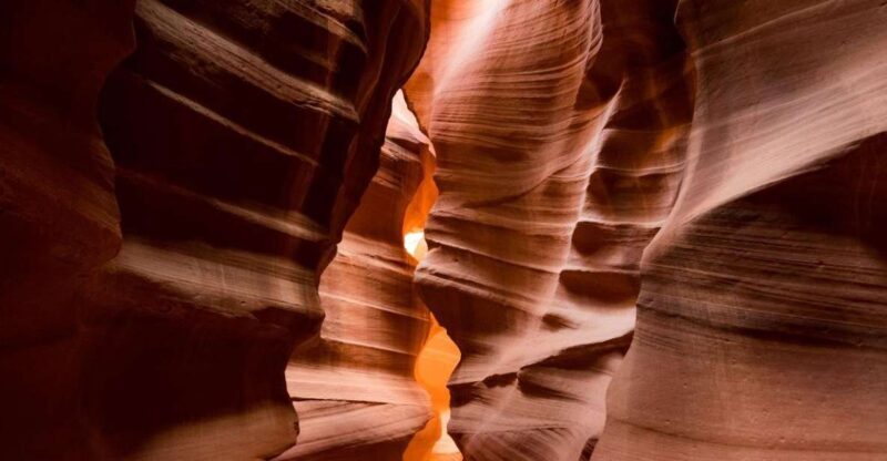Las Vegas: Antelope Canyon & Horseshoe Bend with Lunch, WiFi - A Closer Look at the Antelope Canyon & Horseshoe Bend Day Tour from Las Vegas