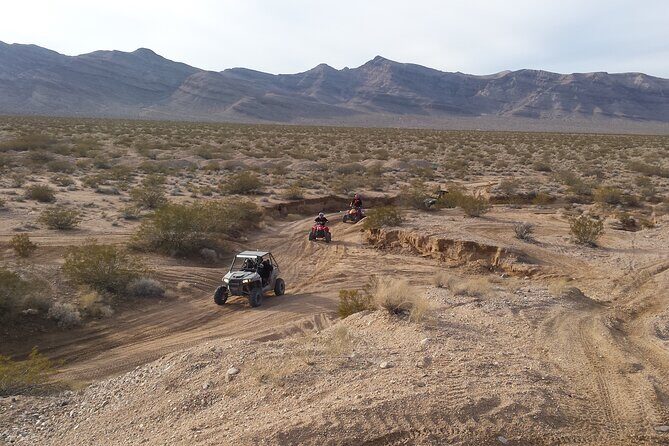 Las Vegas ATV/ RZR Off Road Adventure - Who This Tour Is Best For