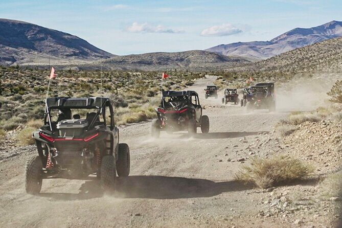 Las Vegas ATV Tour with Free Transportation - Authentic Feedback from Travelers