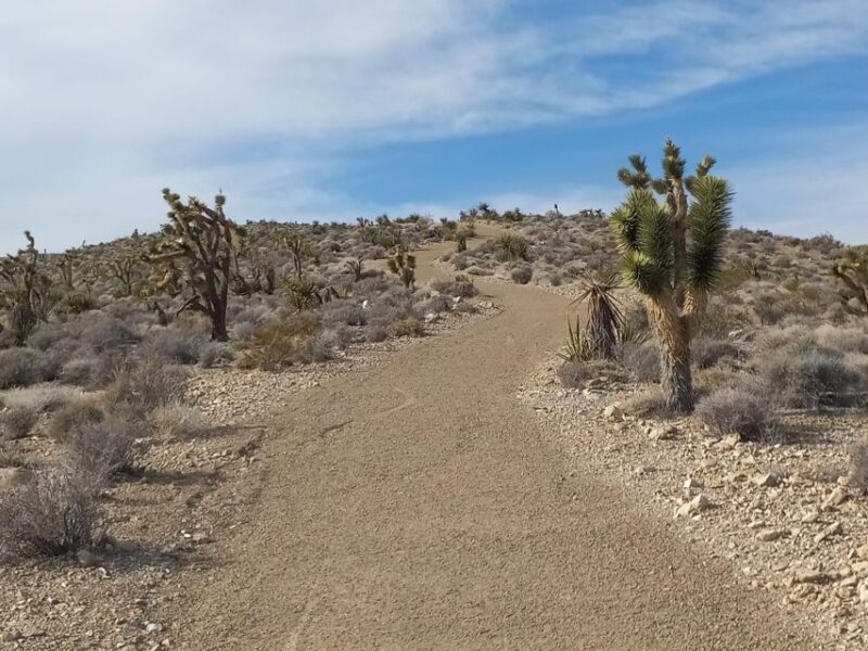 Las Vegas ATV Tours - Key Points