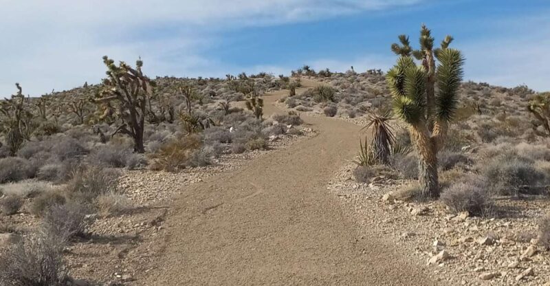 Las Vegas ATV Tours - What’s Included & What’s Not