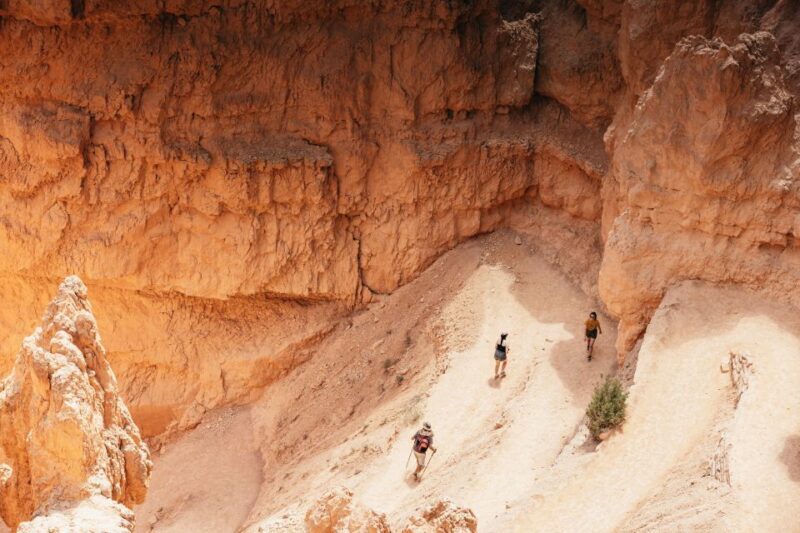 Las Vegas: Bryce and Zion National Parks Tour with Lunch - Return Journey: Scenic and Smooth