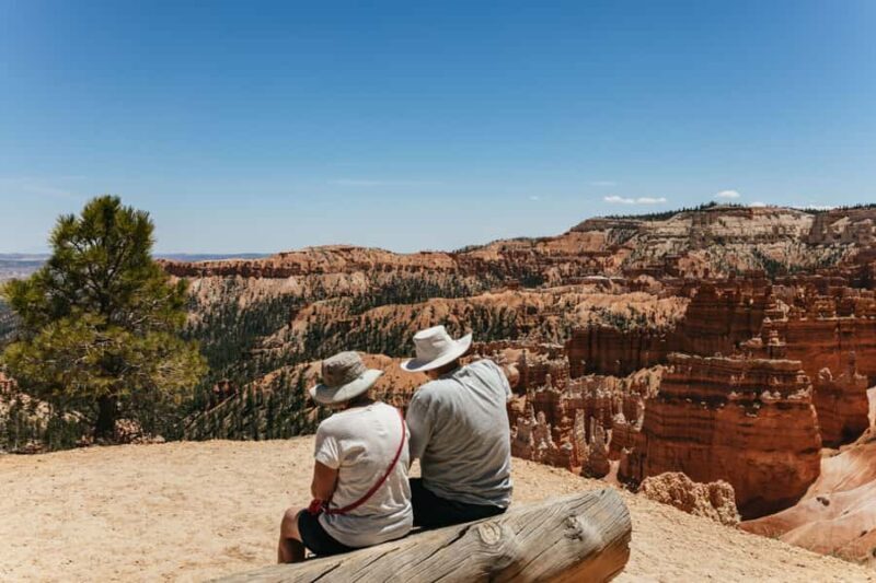 Las Vegas: Bryce and Zion National Parks Tour with Lunch - Key Points