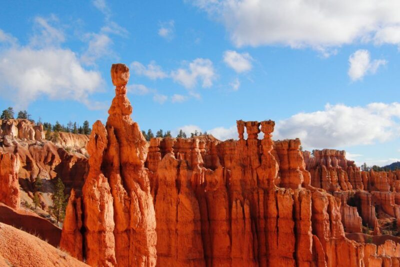 Las Vegas: Bryce and Zion National Parks Tour with Lunch - Who Will Love This Tour?