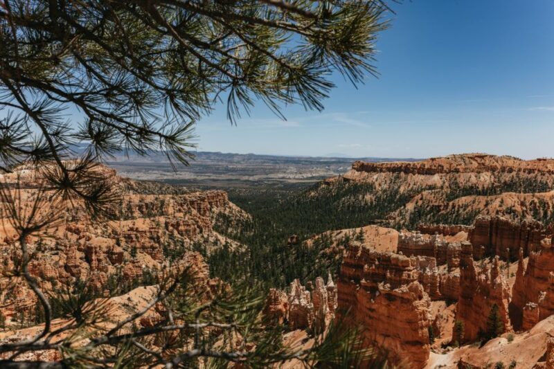 Las Vegas: Bryce and Zion National Parks Tour with Lunch - Final Thoughts on the Tour