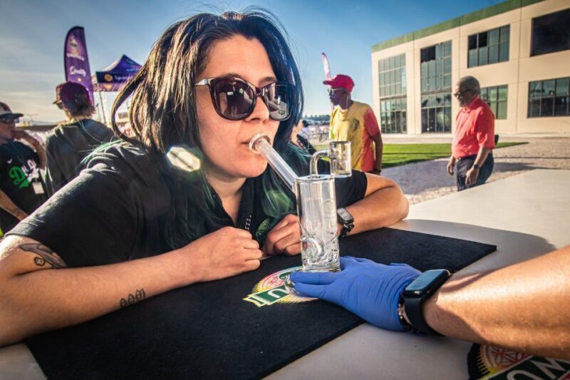 Las Vegas: Cannabis Tour with Weed Lounge & Party Bus - What We Like About This Tour