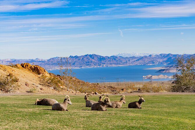 Las Vegas Day Trips: 3-Day Self-Guided Audio Tour - Introduction: A Practical and Enjoyable Way to Discover Las Vegas and Beyond