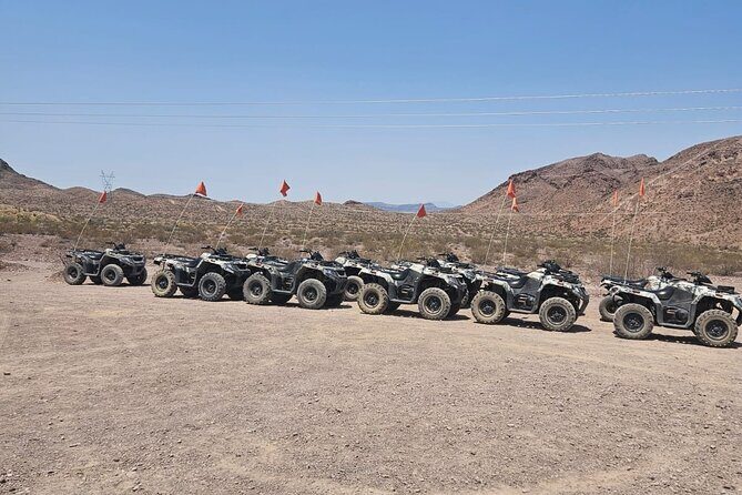 Las Vegas Desert Buggy & ATV Tour with Pickup - Who Will Love This Tour?
