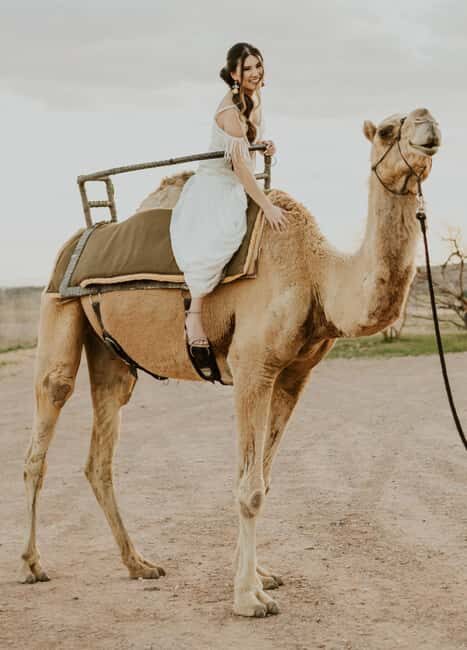 Las Vegas: Desert Camel Ride - Final Thoughts