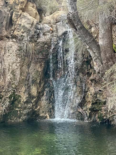 Las Vegas: Family Friendly Guided Hike to Emerald Falls - An In-depth Look at the Emerald Falls Hike