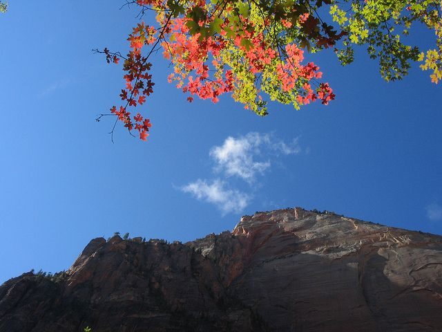 Las Vegas: Grand Canyon, Antelope, Bryce and Zion 3-Day Tour - Who Should Consider This Tour?