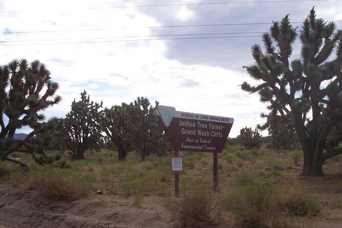 Las Vegas: Grand Canyon West Rim Bus Tour with Skywalk - Final Thoughts: Is It Worth It?