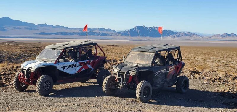 Las Vegas: Guided Las Vegas Desert Buggy Tour - The Heart of the Experience: What to Expect