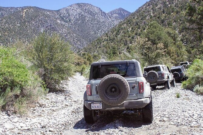 Las Vegas Guided Off-Road Adventure to Callville Wash - The Complete Itinerary Breakdown