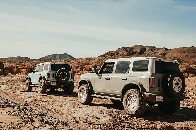 Las Vegas Guided Off-Road Adventure to Echo Bay Wash - The Guides and Educational Component