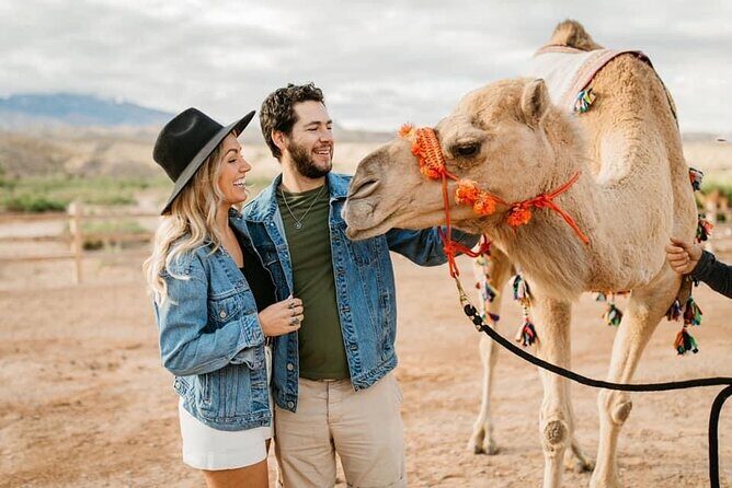 Las Vegas Guided UTV Safari and Zoo Tour - Exploring the Las Vegas Guided UTV Safari and Zoo Tour: An Authentic Wild West Adventure
