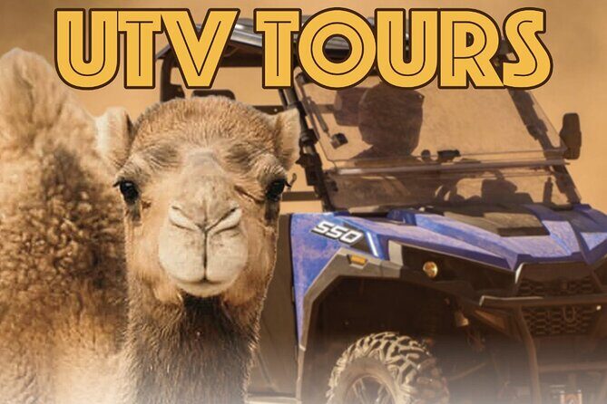 Las Vegas Guided UTV Safari and Zoo Tour - An Overview of the UTV Safari and Zoo Tour Experience