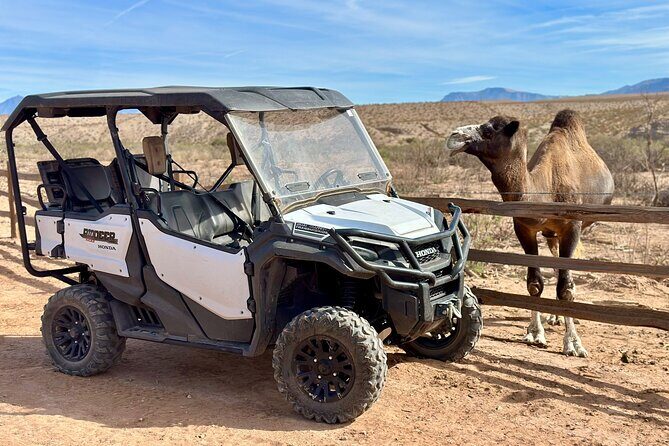Las Vegas Guided UTV Safari and Zoo Tour - FAQ