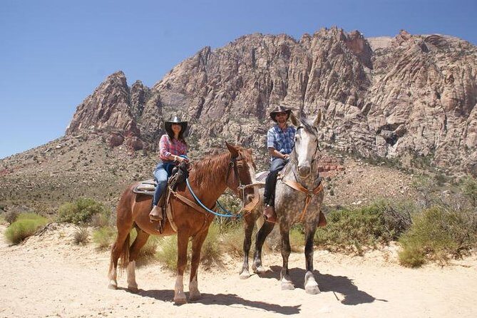 Las Vegas Horseback Ride with Meal - A Practical Review of the Las Vegas Horseback Ride with Meal