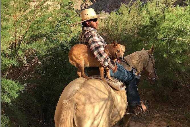 Las Vegas Horseback Ride with Meal - Key Points
