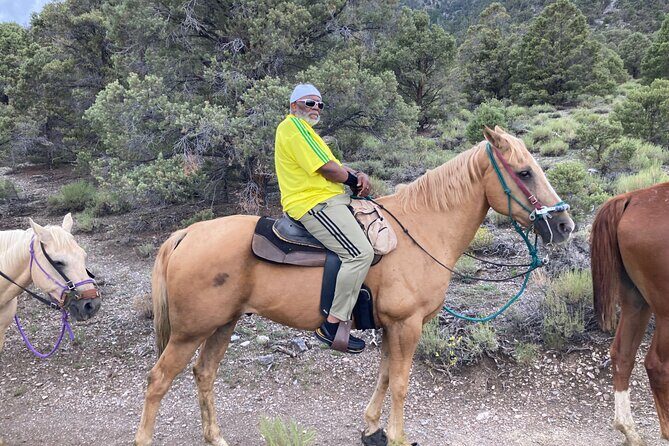 Las Vegas Horseback Riding Adventure in Mountain - Real-World Experiences and Honest Feedback