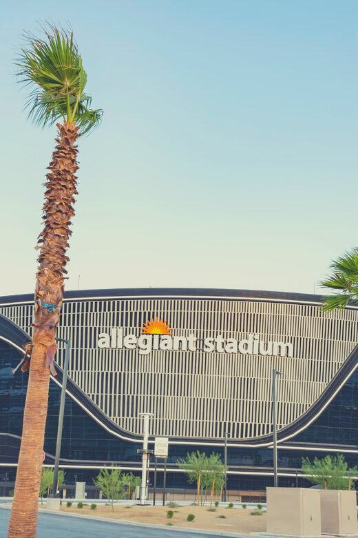 Las Vegas: Las Vegas Raiders Football Game Ticket - The Experience: What You Can Expect at Allegiant Stadium