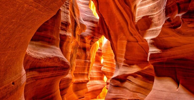 Las Vegas: Lower Antelope Canyon & Horseshoe Bend w/ Lunch - Practical Tips for Participants